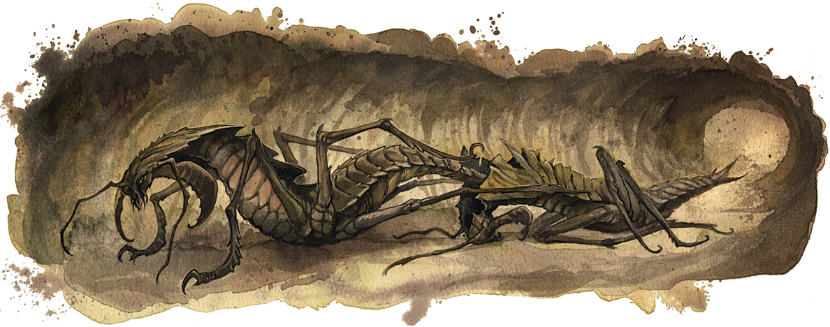 Ankheg – Runkle Plays Games