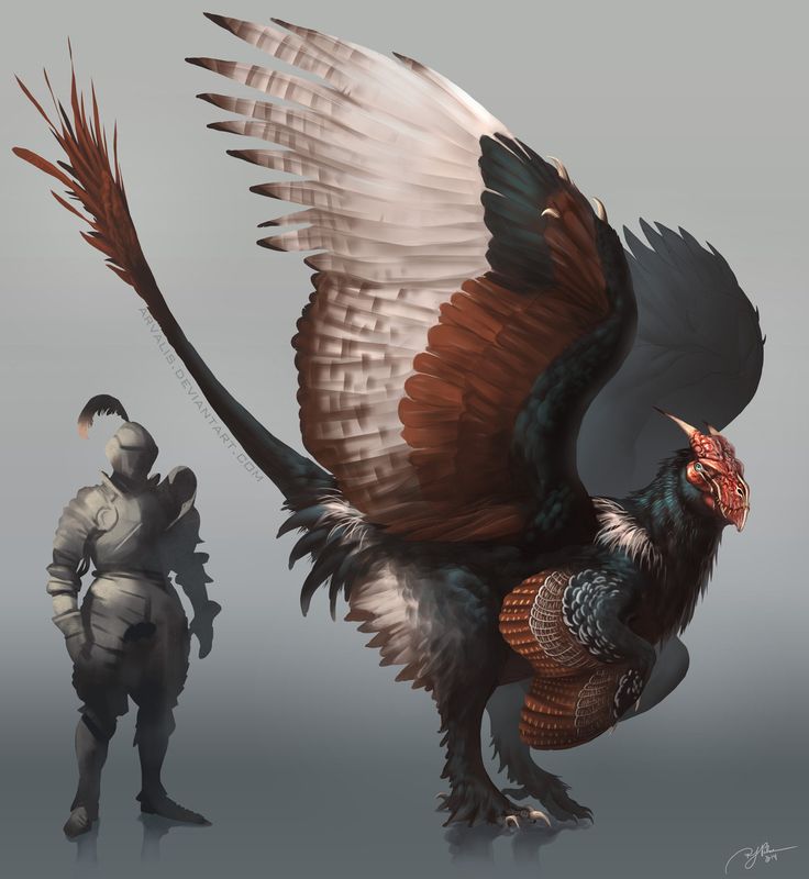 Thanksgiving Day After – Runkle Plays Games